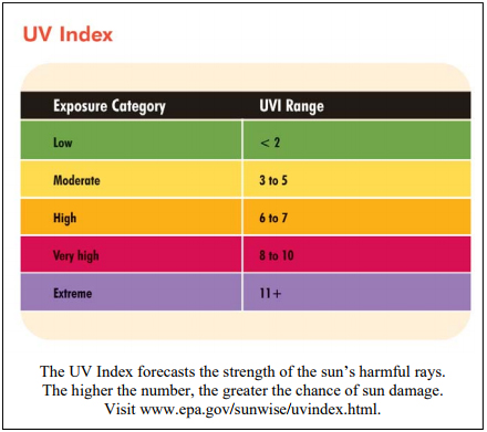 Sun Protection Strategies for the Whole Family - Greer Dermatology ...